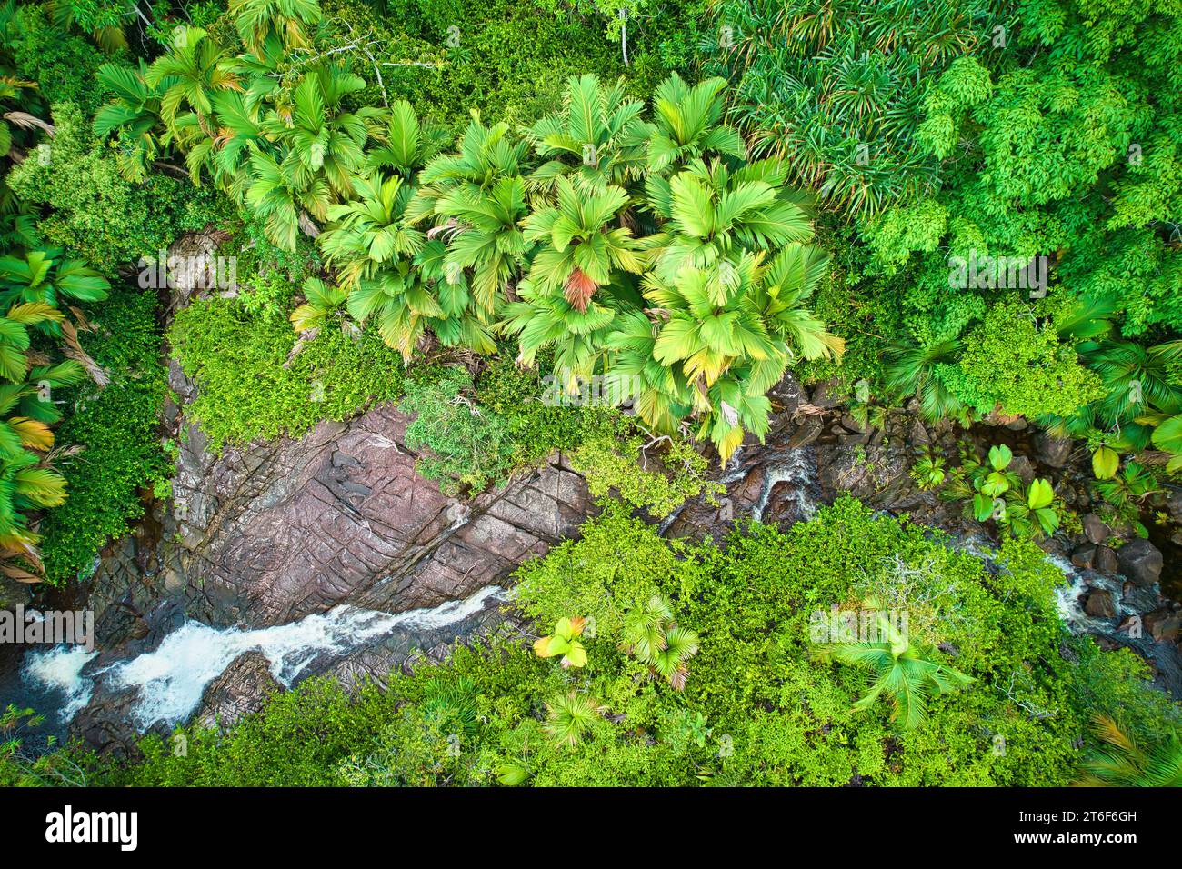 Bird eye drone photography of Sauzier waterfal, surrounded by lush ...
