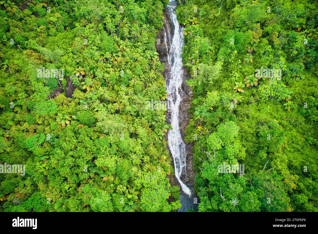 Drone photgraphy of Sauzier waterfall on, surrounded by lush forest ...