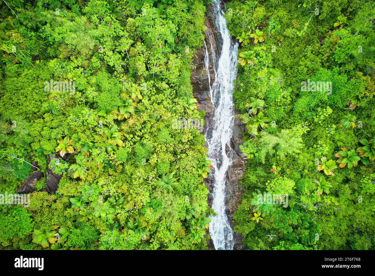 Drone photgraphy of Sauzier waterfall on, surrounded by lush forest ...