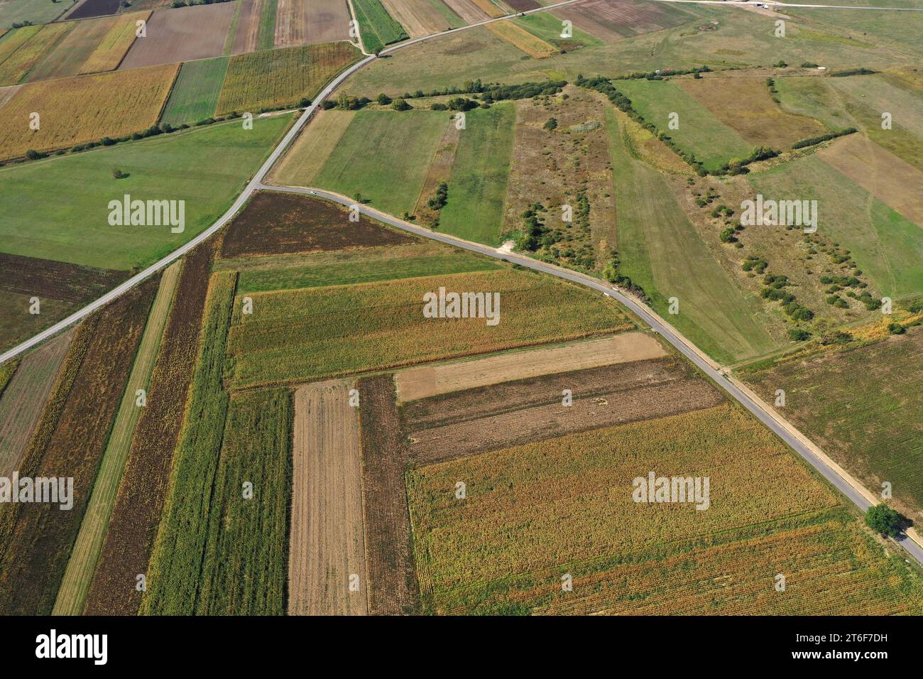 Aerial view of a hay field, wheat field. Beautiful agriculture ...