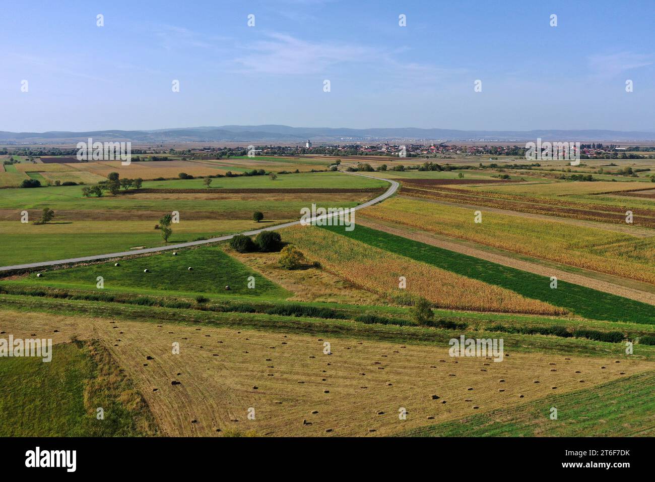 Aerial view of a hay field, wheat field. Beautiful agriculture ...