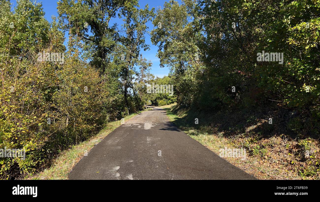 Road in the woods, landscape of the Tuscan-Emilian Apennines Parma ...
