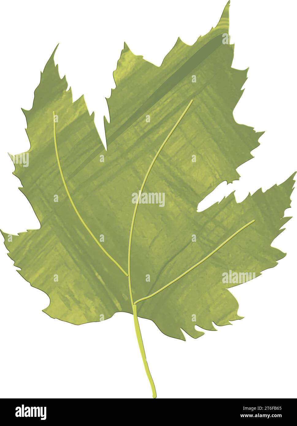 Thanksgiving autumn background vector Cut Out Stock Images & Pictures ...