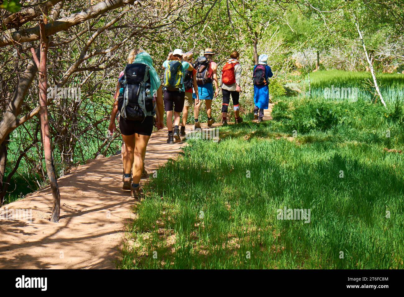 Hiking group with guide, Taberkhat, Morocco Stock Photo - Alamy