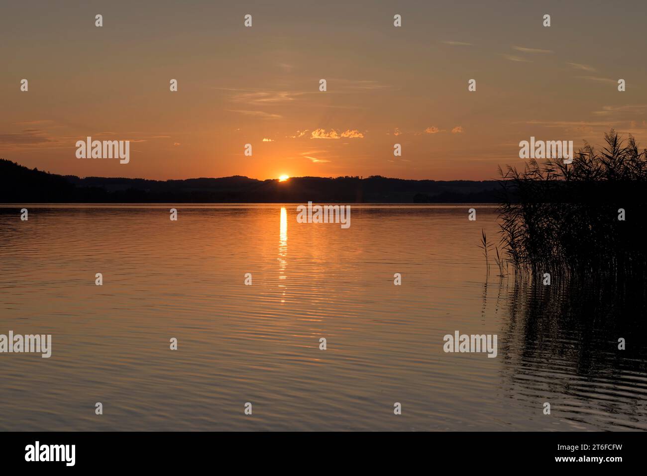 Waginger See, at sunset, Kuehnhausen, Berchtesgadener Land, Bavaria ...