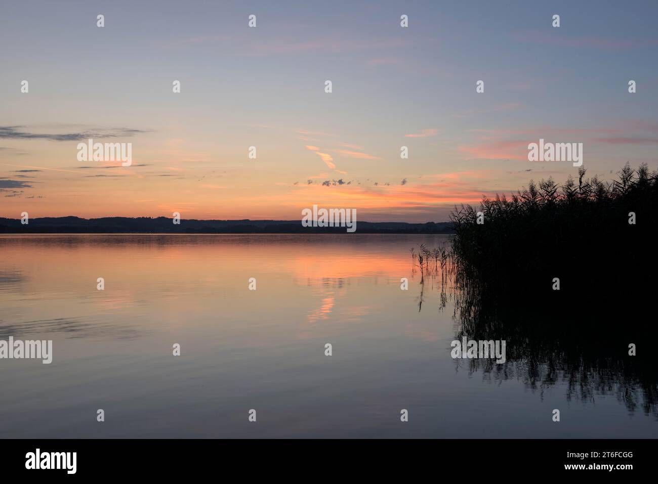 Waginger See, at sunset, Kuehnhausen, Berchtesgadener Land, Bavaria ...