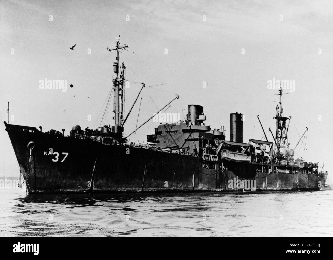 Roxane Black and White Stock Photos & Images - Alamy