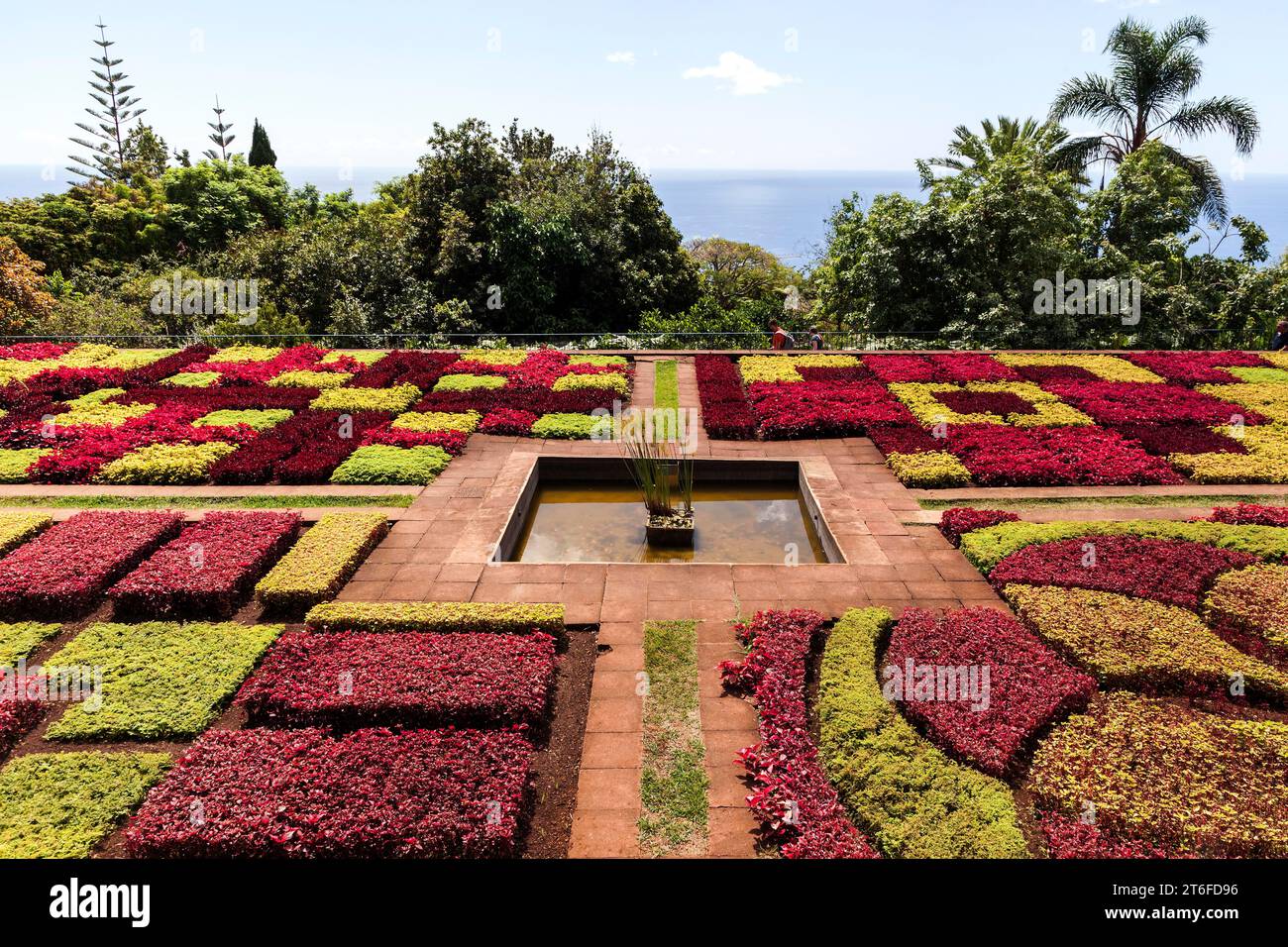 Flowerbeds and plants laid out as samples, Funchal Botanical Garden ...