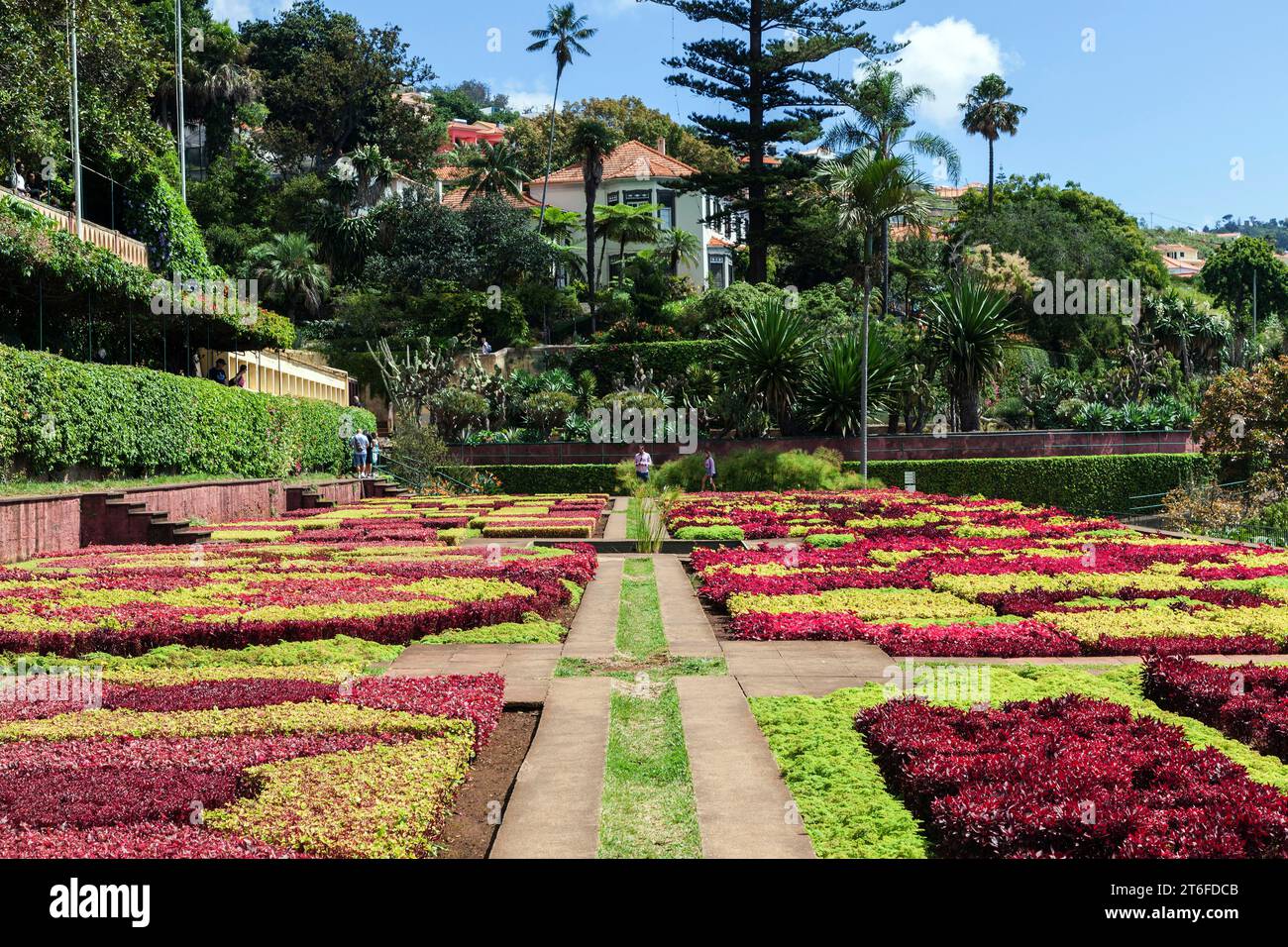 Flowerbeds and plants laid out as samples, Funchal Botanical Garden ...