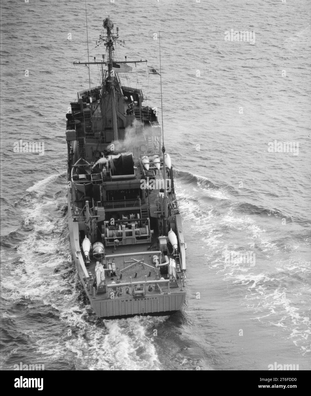 Sagacity hi-res stock photography and images - Alamy