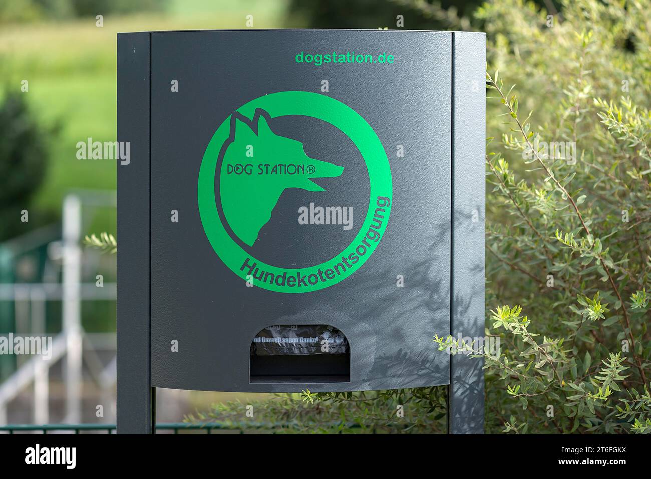 Dog faeces disposal hi-res stock photography and images - Alamy