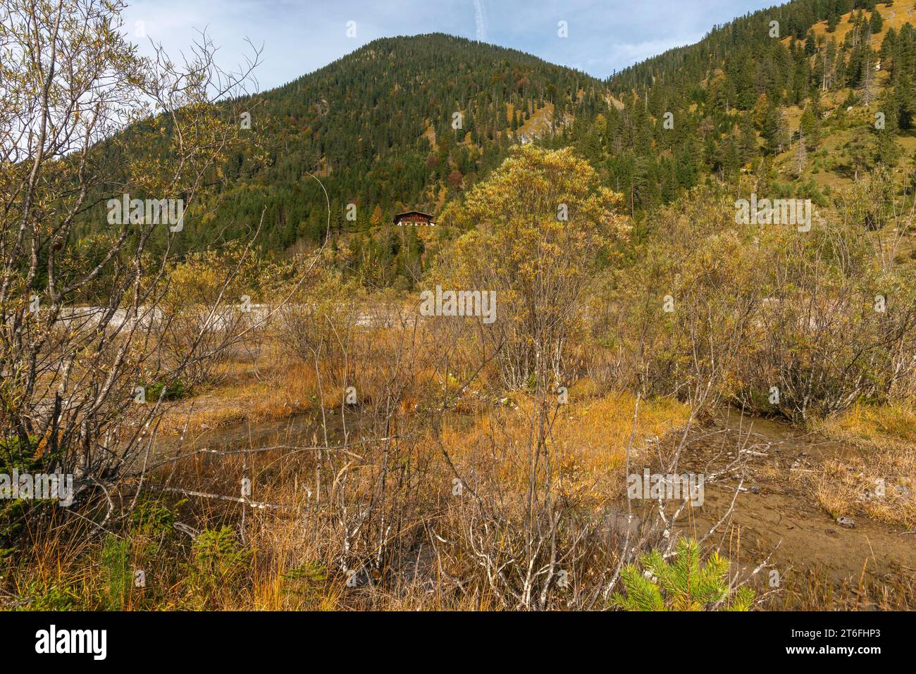 Rissbach stream in the Risstal valley, boggy area in the riverbed ...