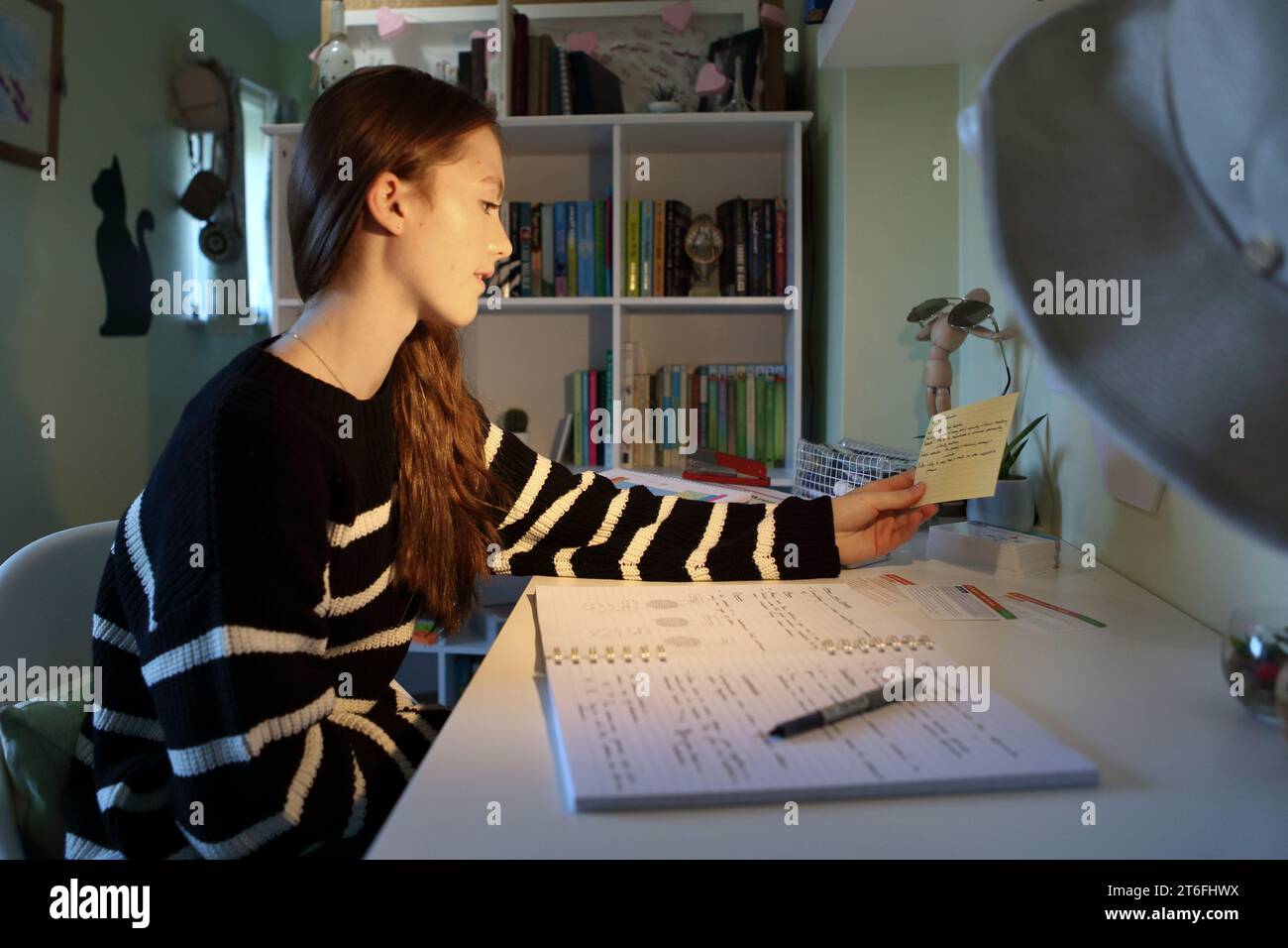 Teenage girl revising using flashcards and notes at her desk Stock ...