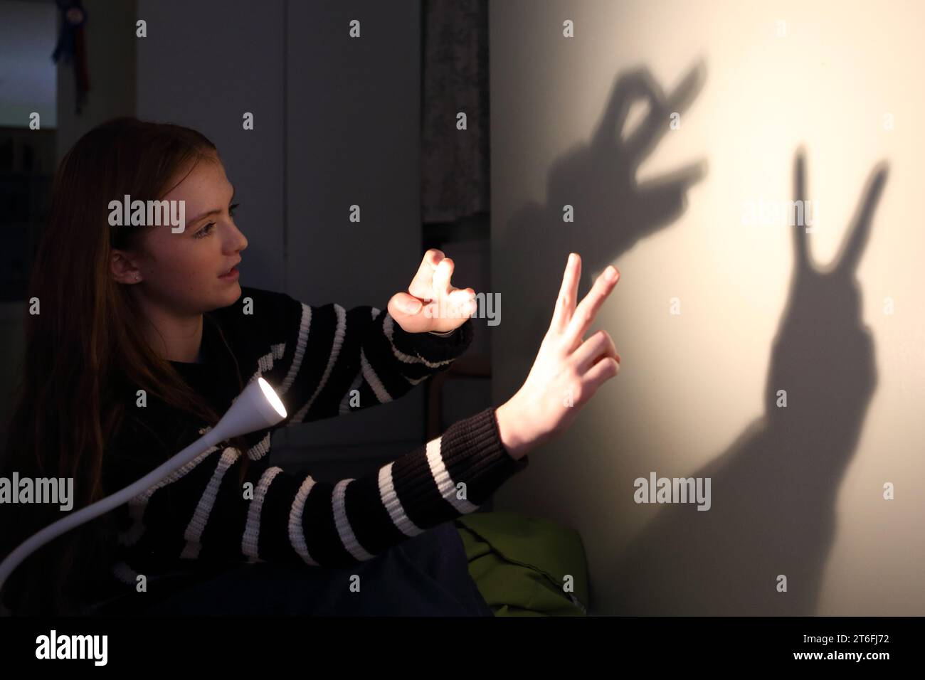 Teenage girl creating shadow puppet shapes with her hands and fingers ...