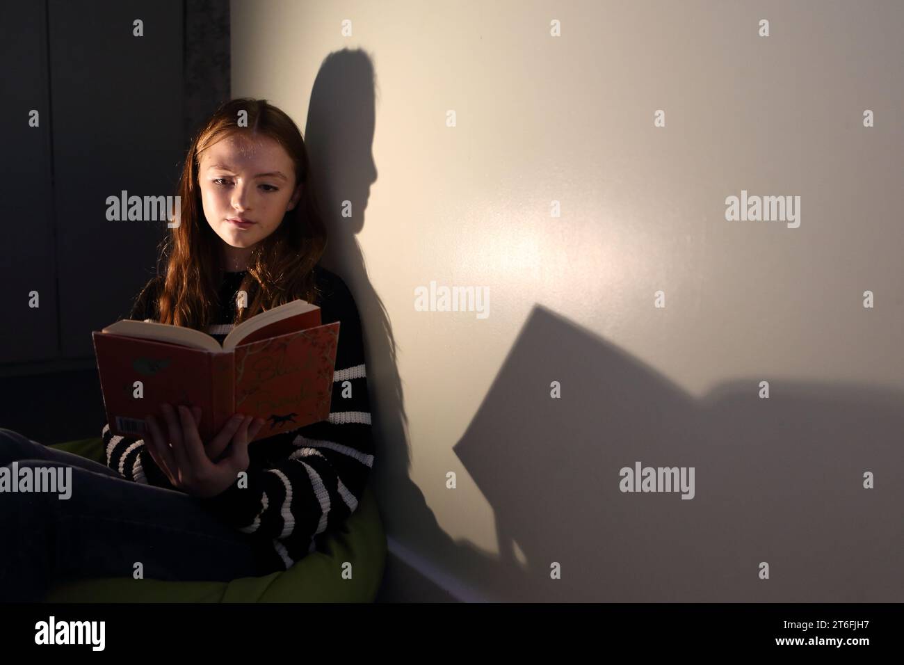 Teenager reading a novel, girl reading book, copyspace, night Stock ...