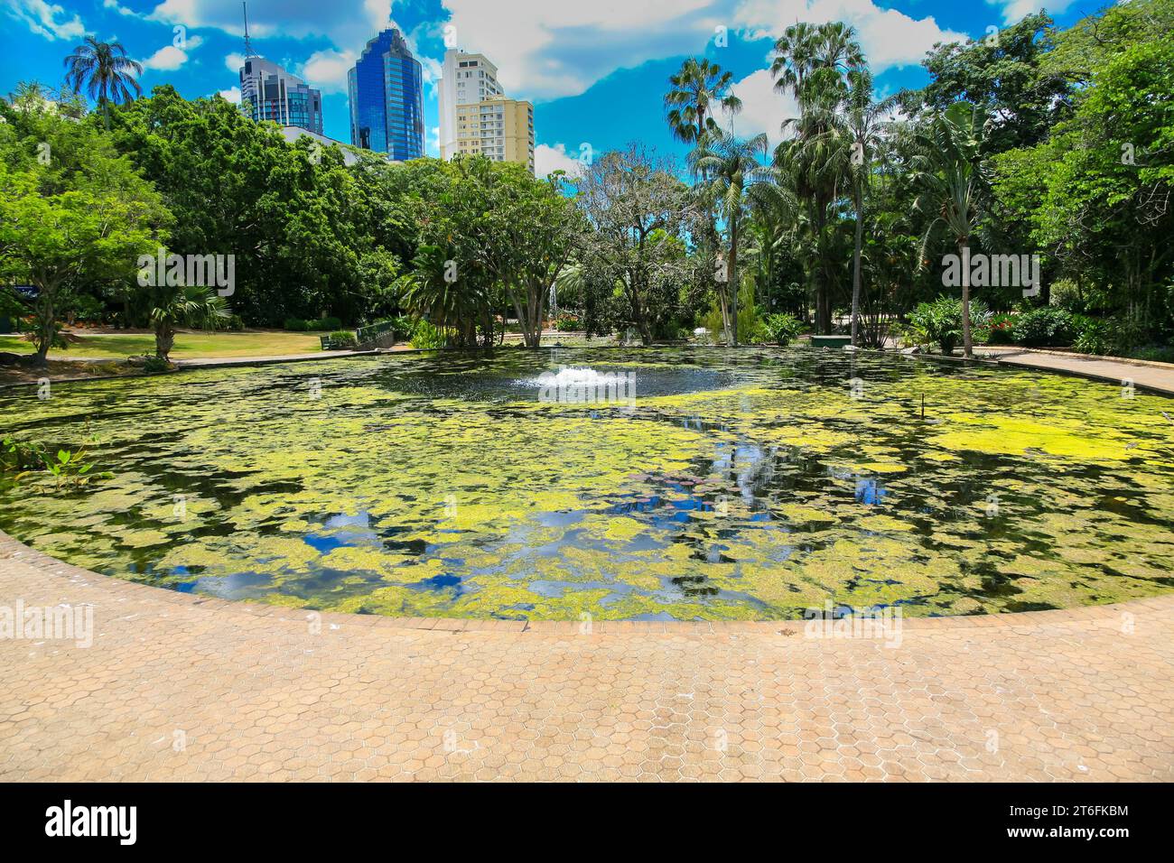 Brisbane City Botanic Gardens with Oakman's Lagoon. Water pond with ...