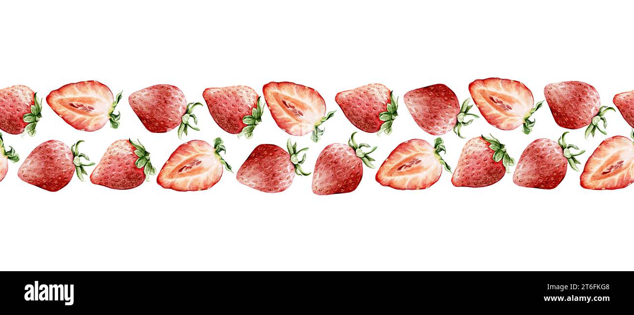 Strawberries seamless border isolated on white. Hand drawing watercolor ...
