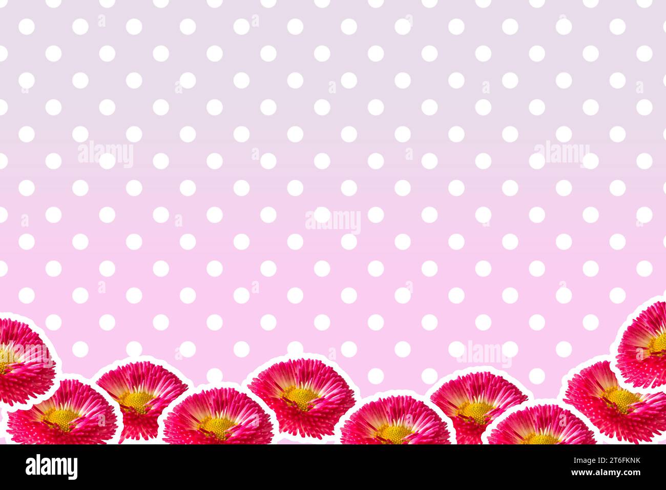 Floral background pink daisy flower polka dot diary invitation ...