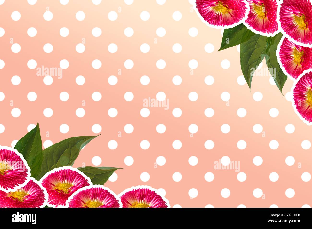 Floral background pink daisy flower polka dot diary invitation ...