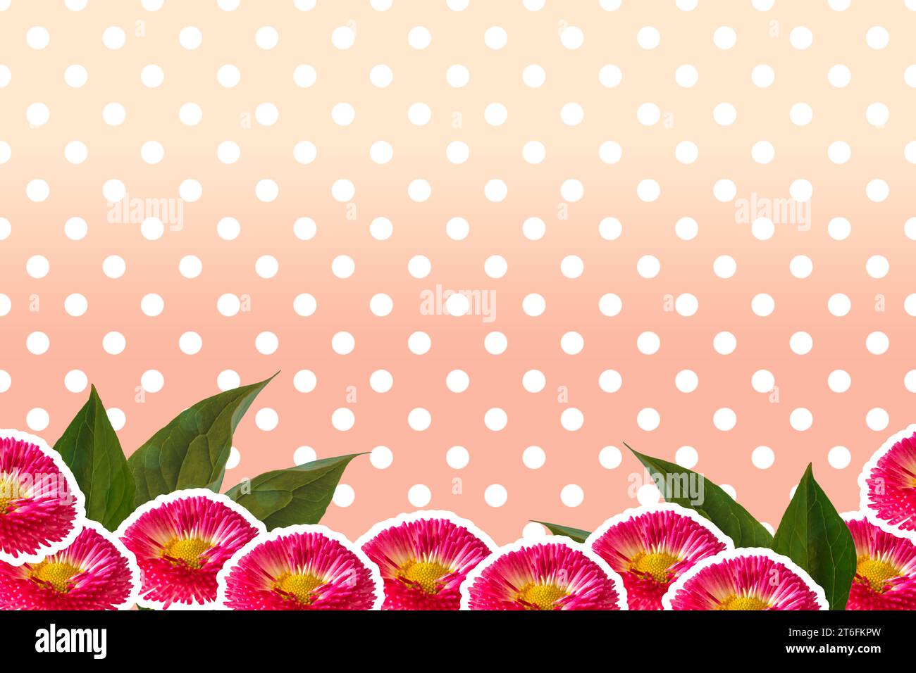Floral background pink daisy flower polka dot diary invitation ...
