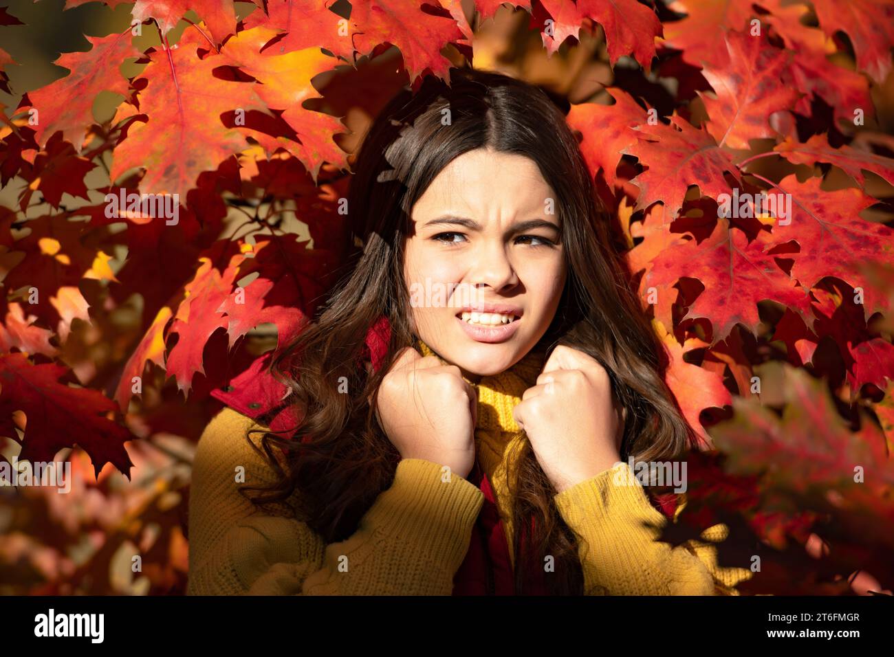Autumn teenager girl portrait in fall autumn leaves. sad kid standing ...