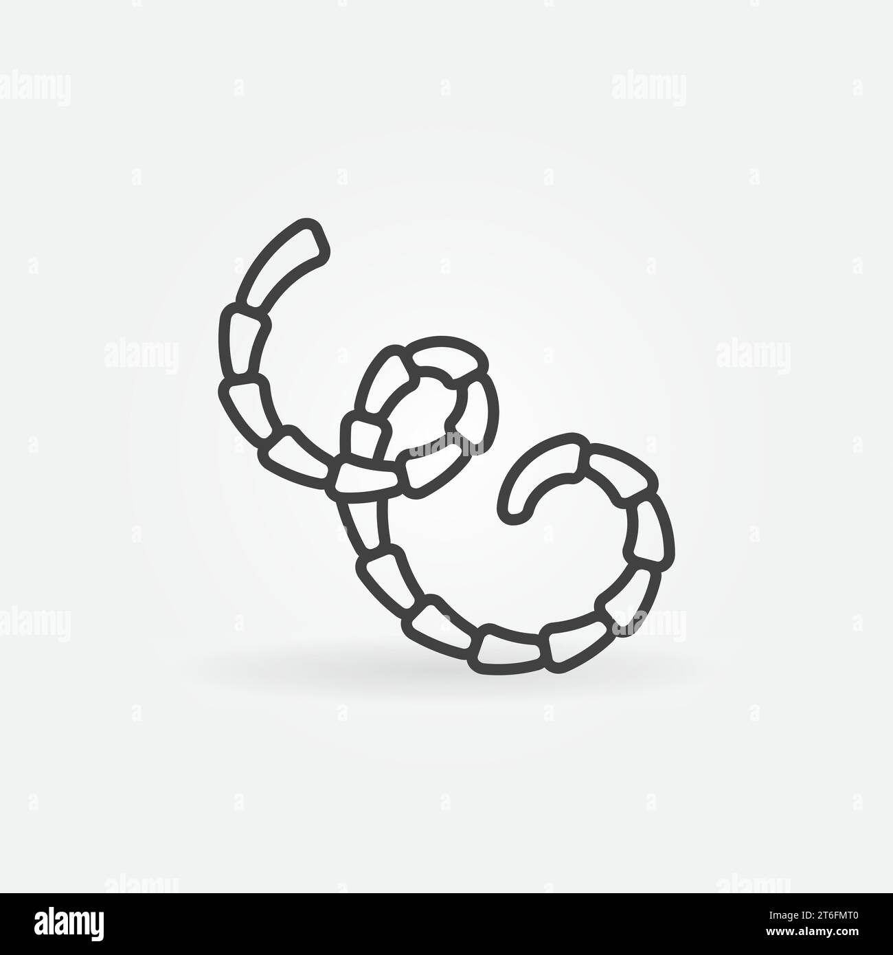 Eucestoda vector Intestinal Parasites concept icon or sign in outline ...