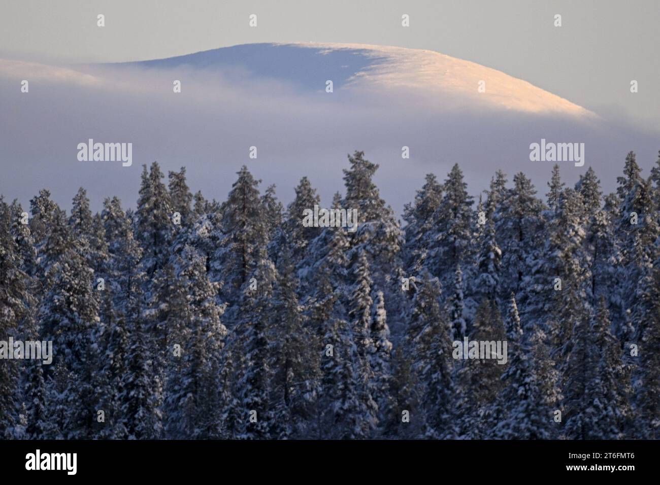 Muonio, Finland. 10th Nov, 2023. The sun lights the summit of the ...
