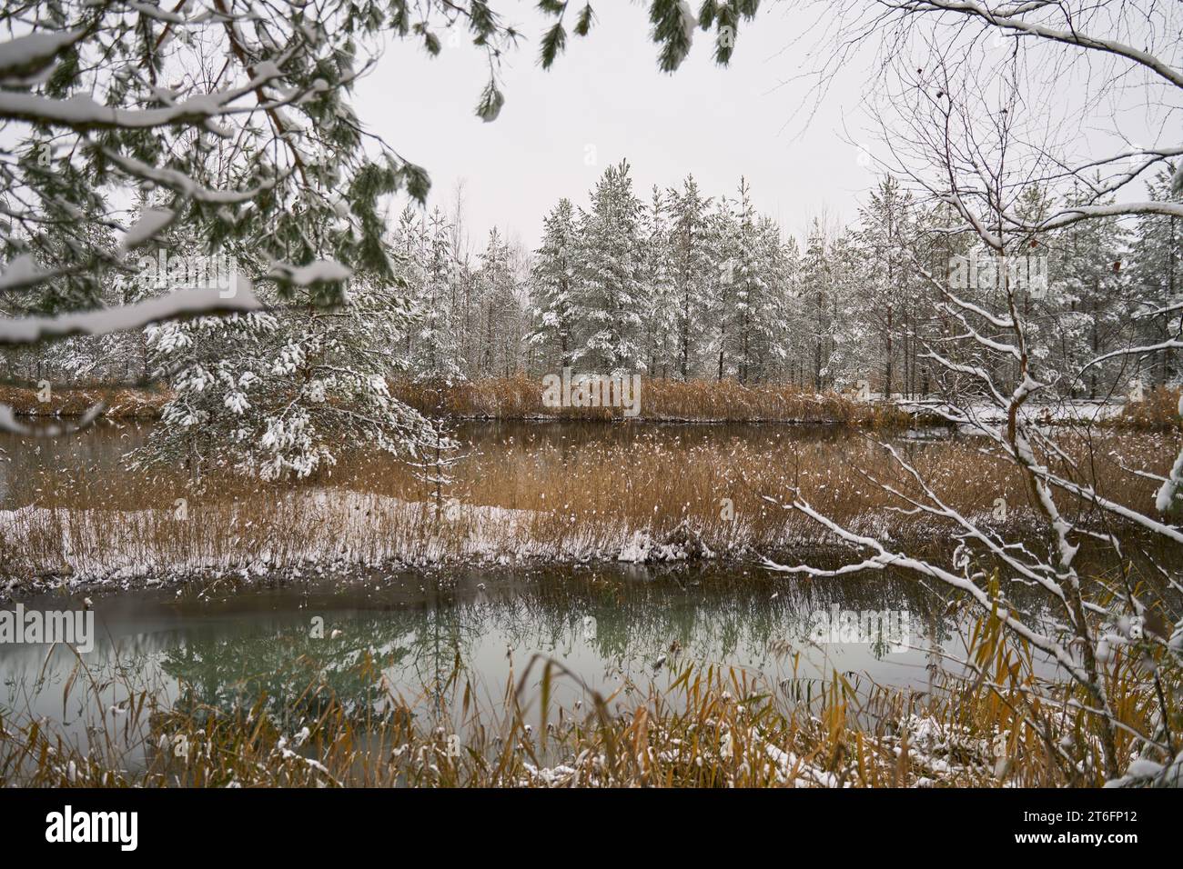 Flakes of snow falling down winter landscape. Winter is Coming Stock ...
