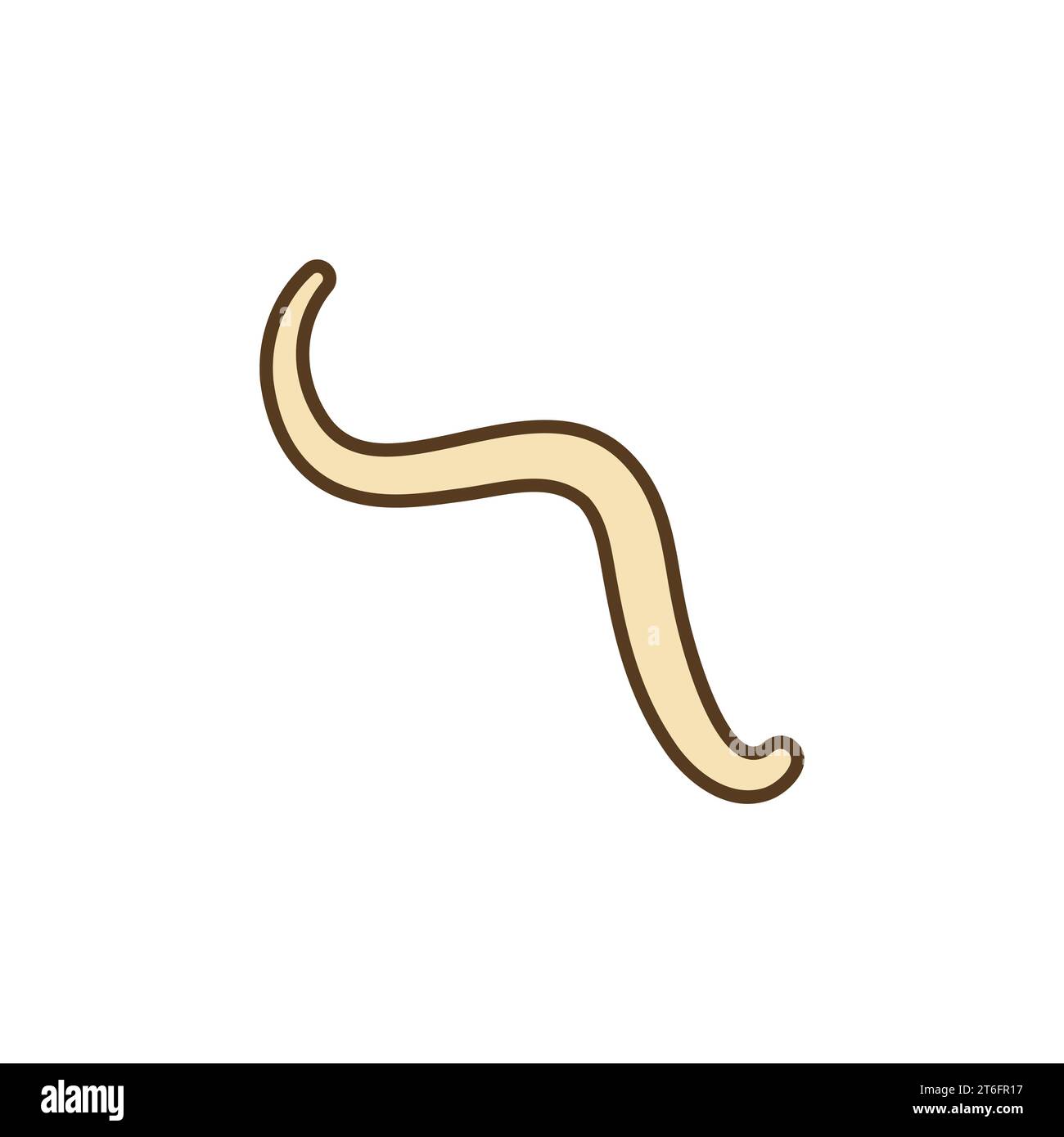 Ascariasis Parasites vector concept colored icon or symbol Stock Vector ...