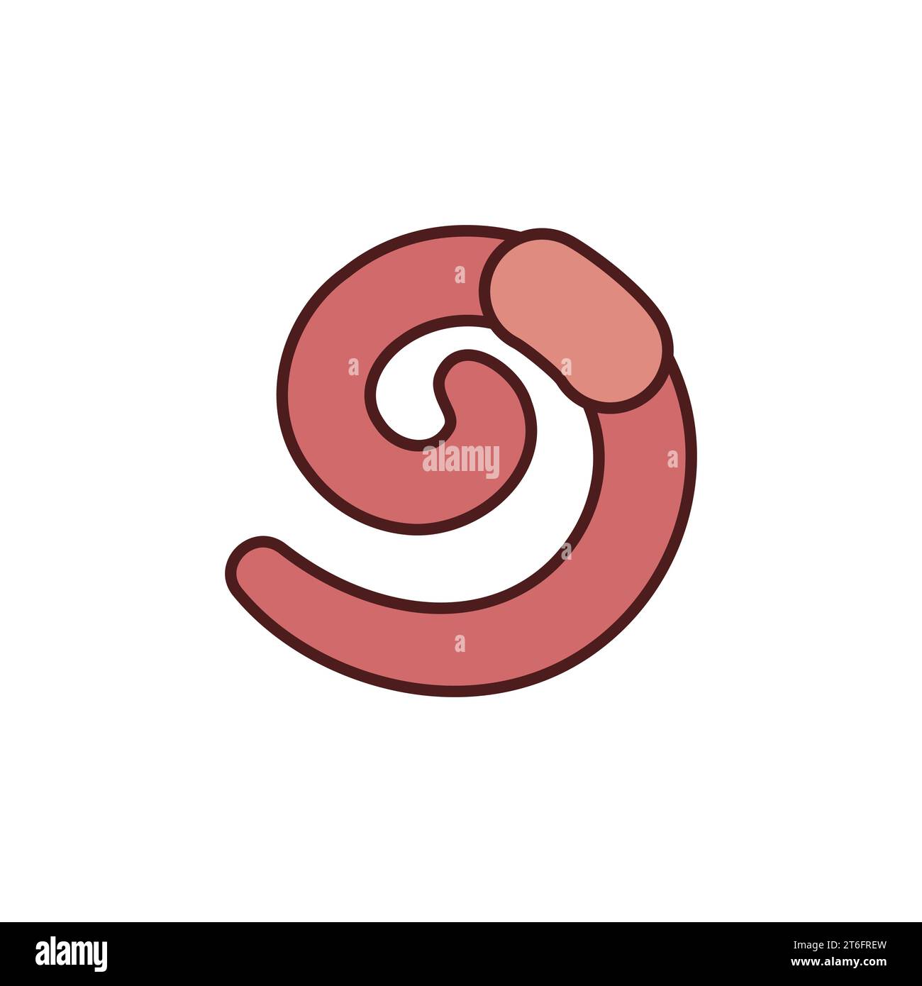 Earthworm vector concept simple colored icon or logo element Stock ...