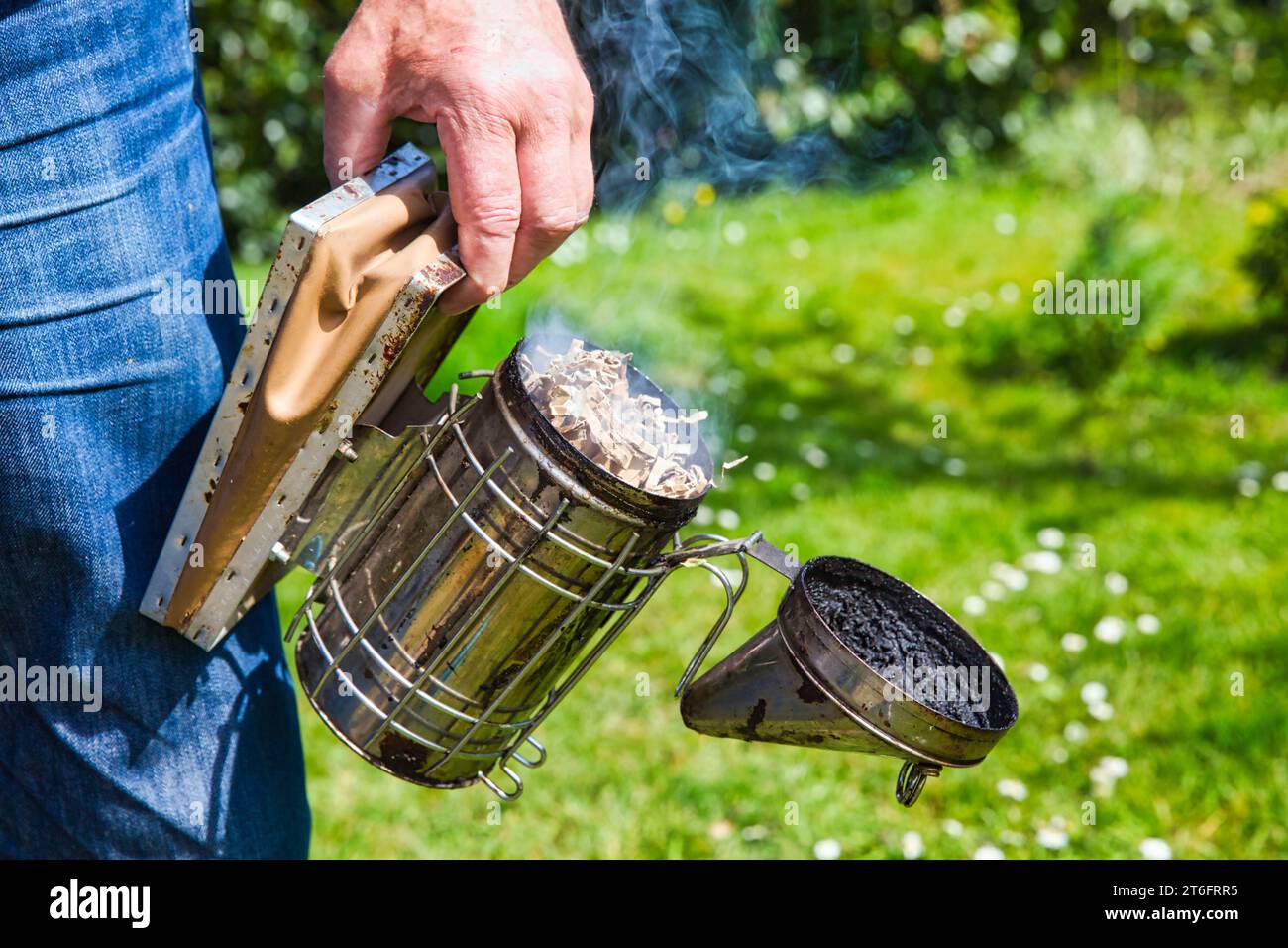 Hand of beekeeper in protective clothing switching on the old smoker ...