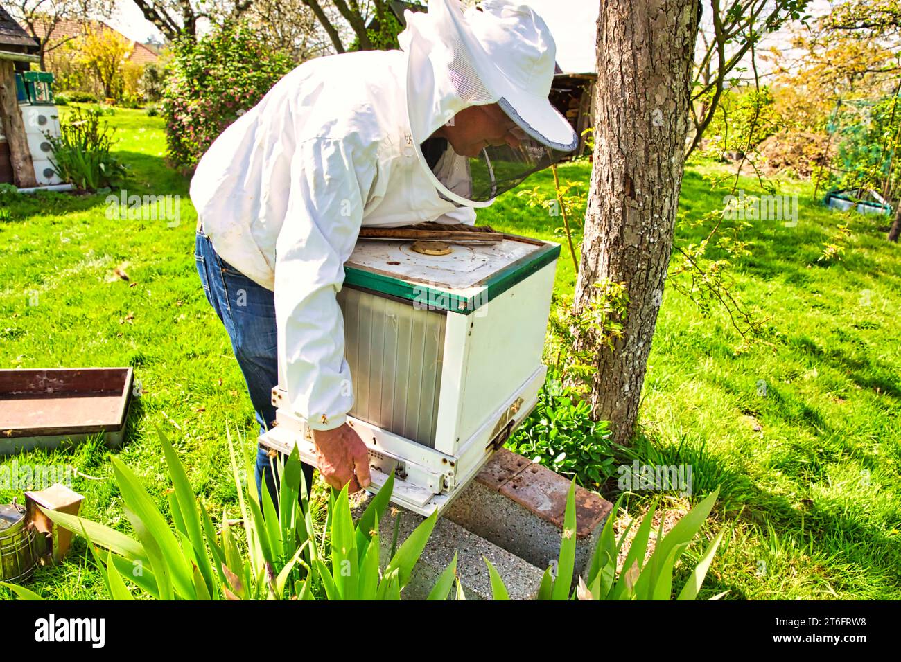 Is known as melittology hi-res stock photography and images - Alamy