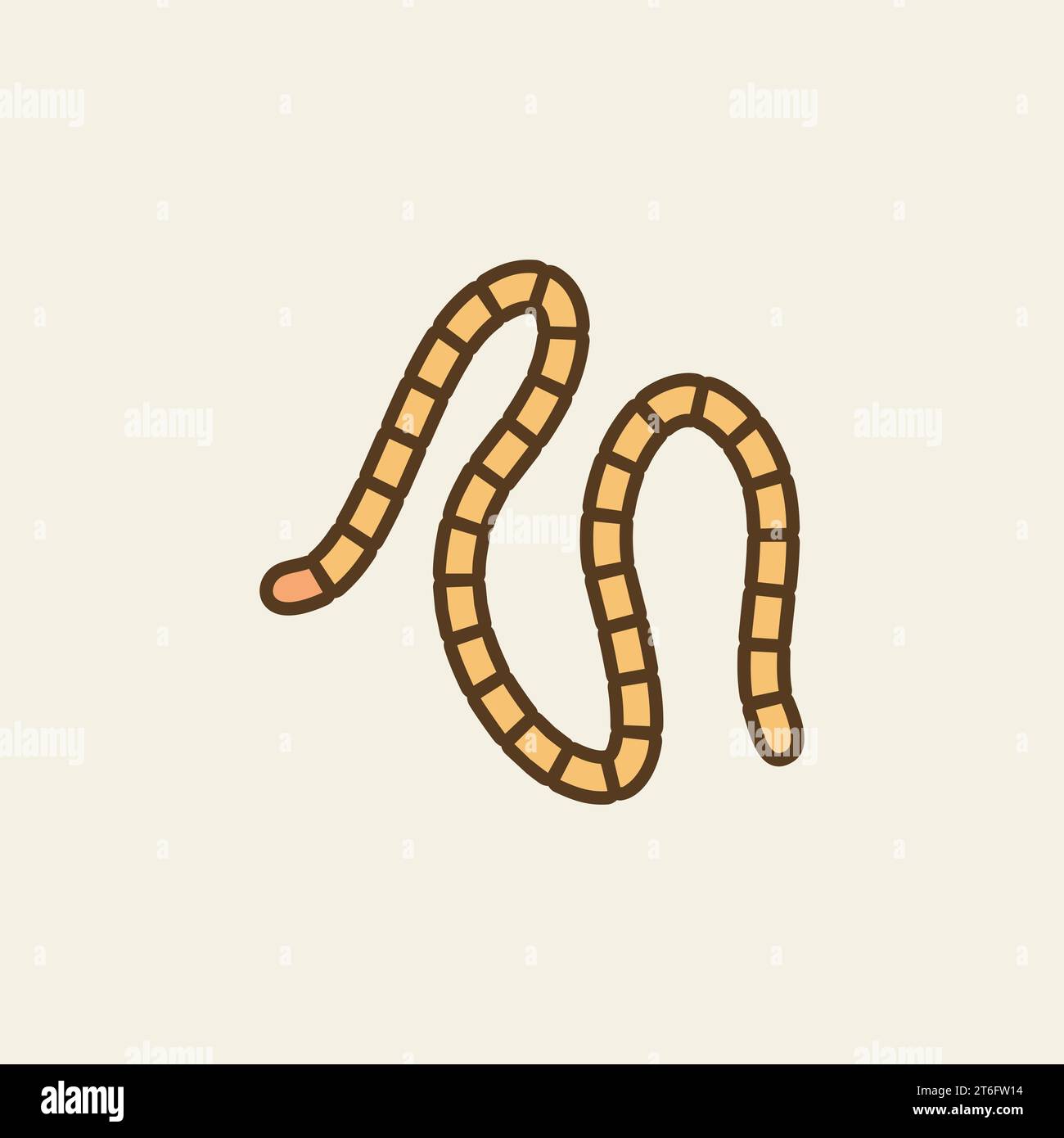 Nematodes anatomy Stock Vector Images - Alamy