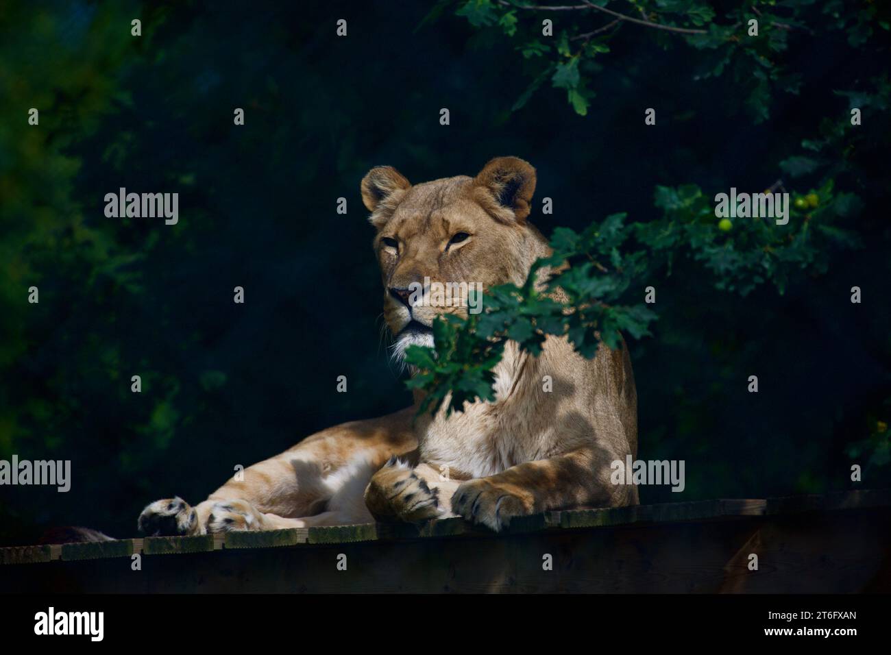 James David Allen Photography Stock Photo - Alamy