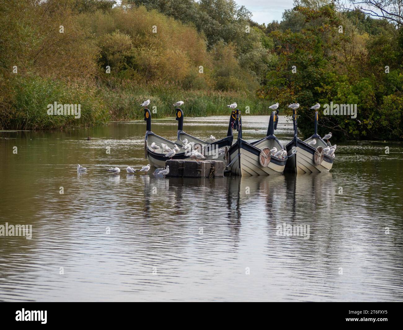 Bedford rowing hi-res stock photography and images - Alamy