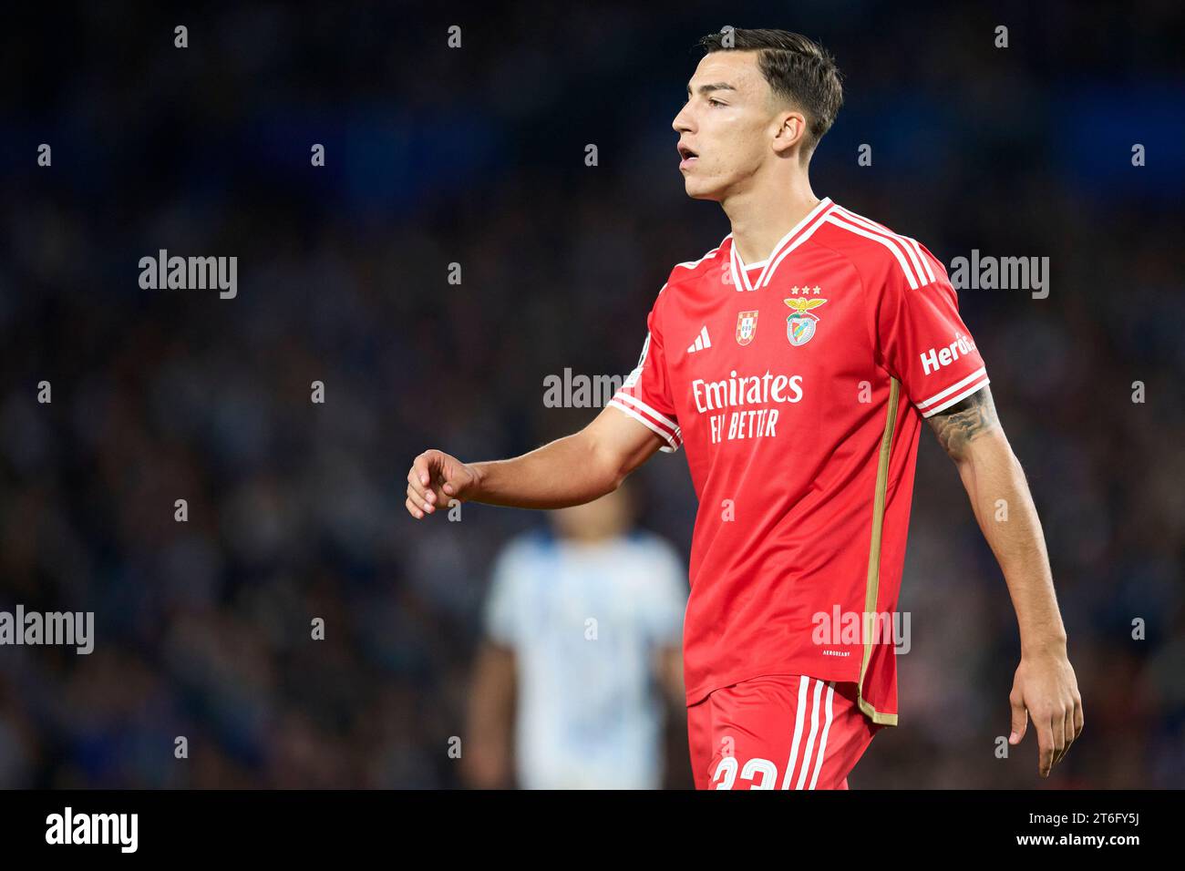 Petar Musa of SL Benfica looks on during the Group D - UEFA Champions ...