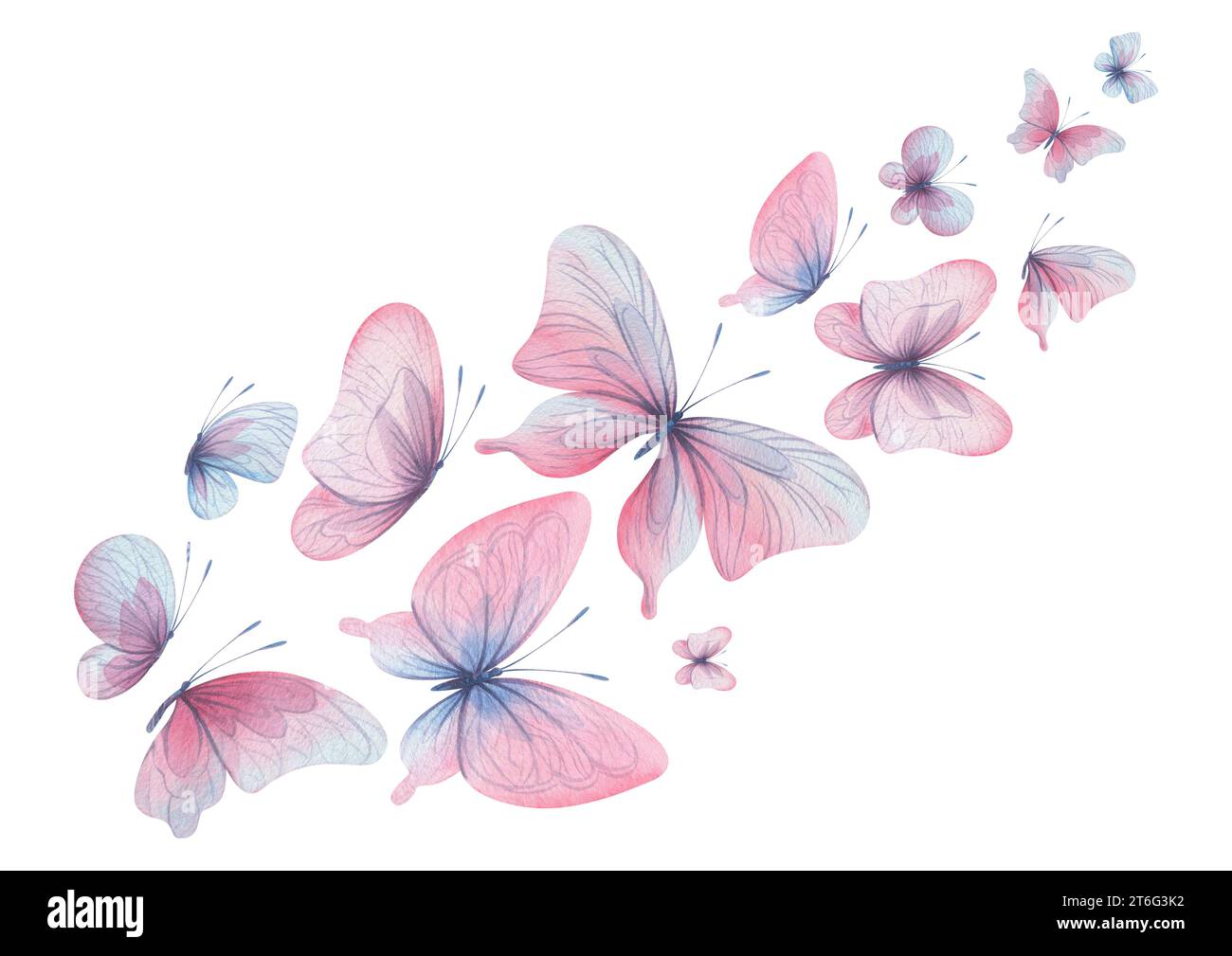 Butterflies are pink, blue, lilac, flying, delicate with wings and ...