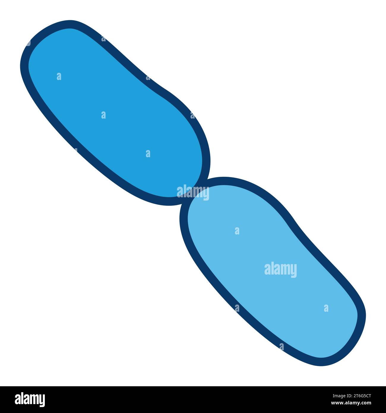 Bacilli vector bacteria concept blue icon or sign Stock Vector Image ...