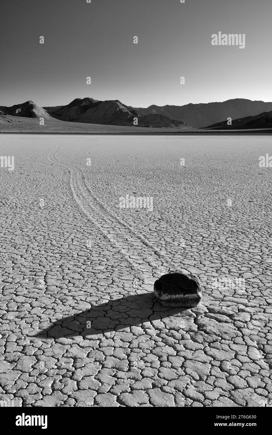 Death in nature Black and White Stock Photos & Images - Alamy