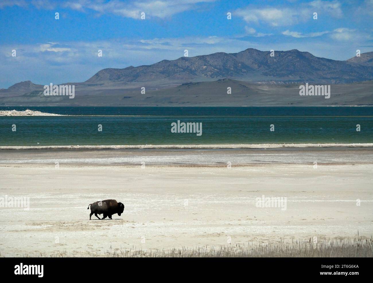Antelope Island State Park Stock Photo - Alamy