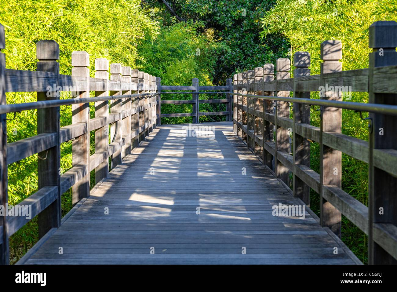 An old wooden bridge arching over a river surrounded by lush green ...