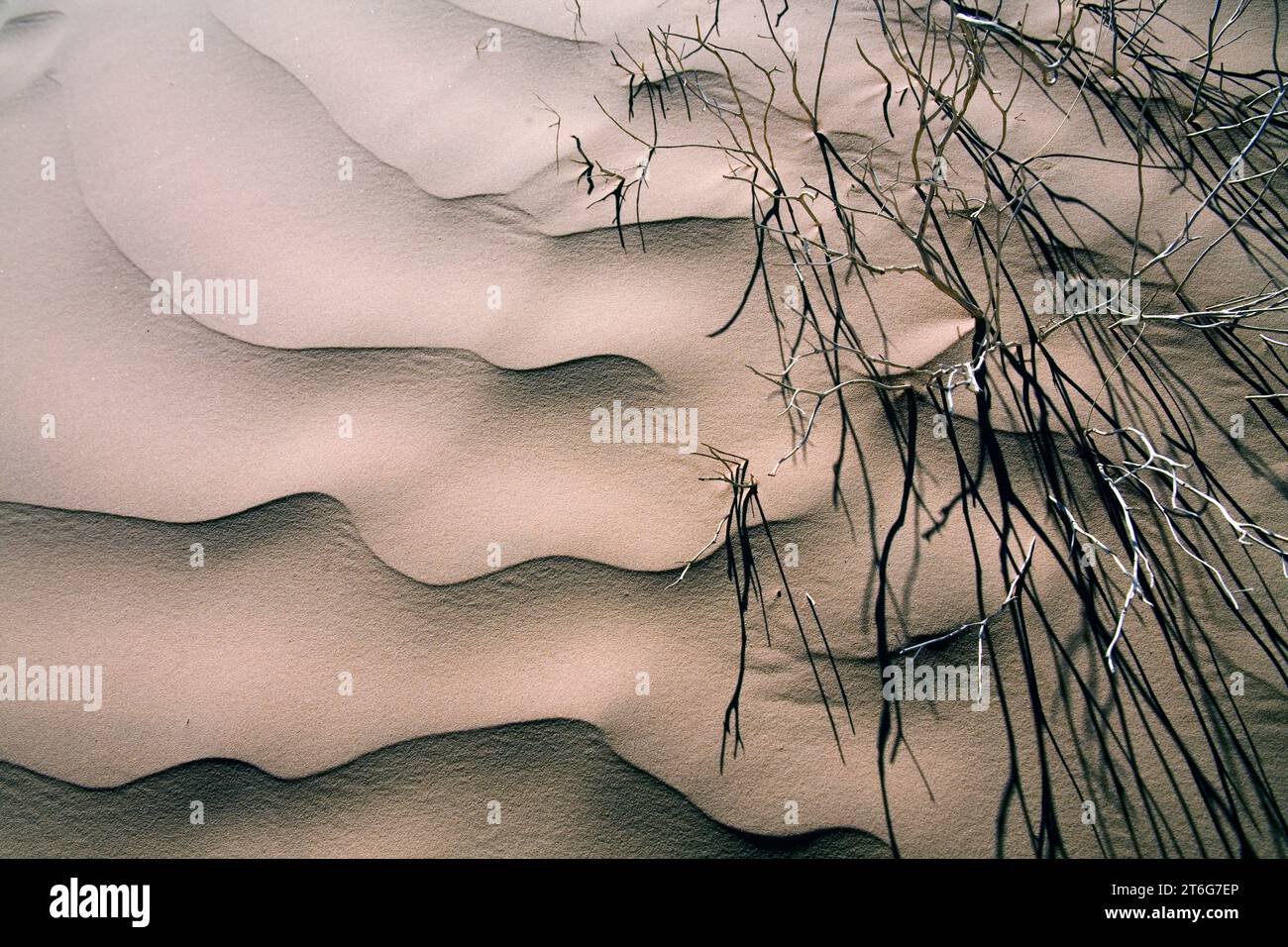 Saharan sand hi-res stock photography and images - Alamy