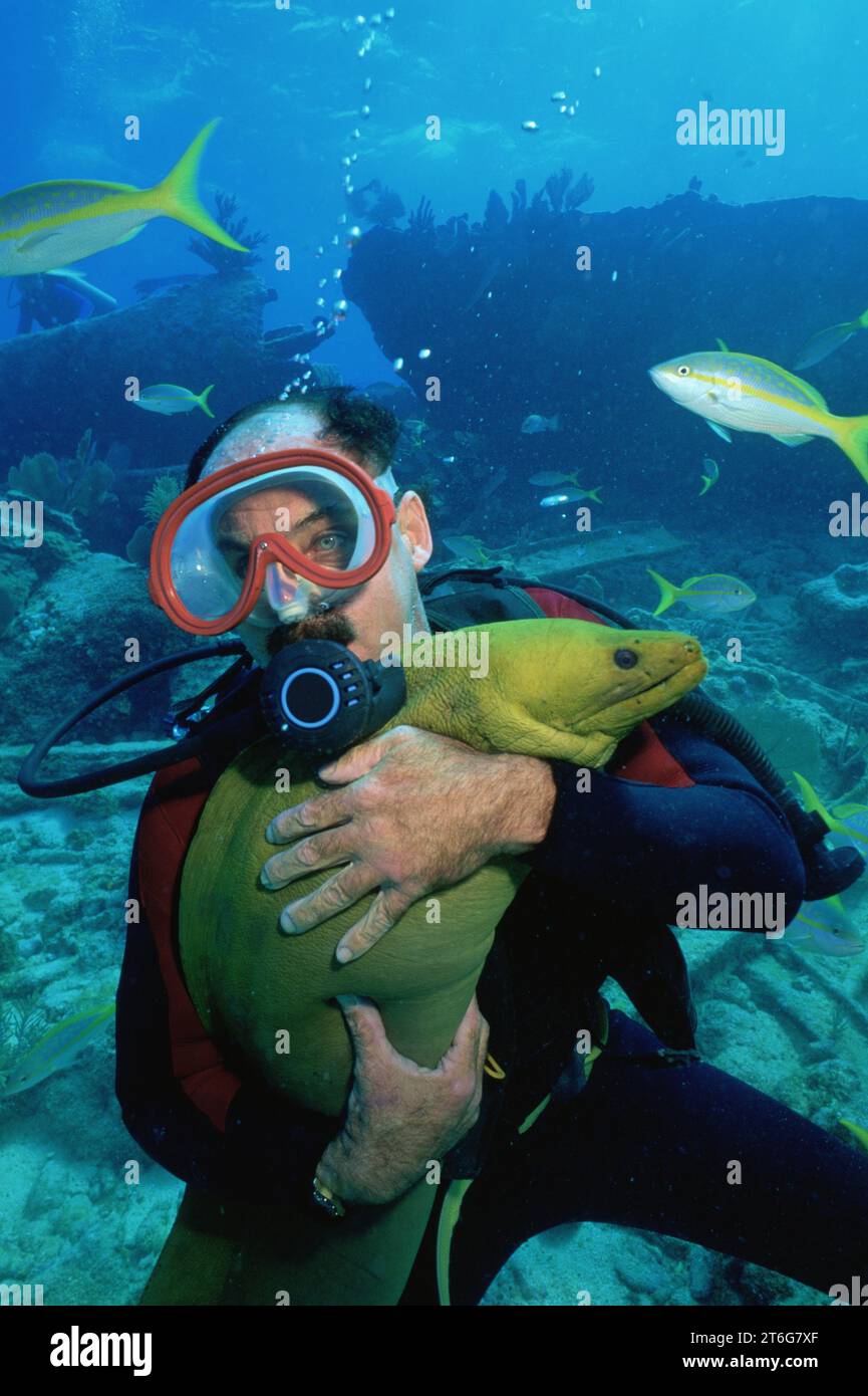 Male scuba diver hugs a moray eel, Florida Stock Photo - Alamy