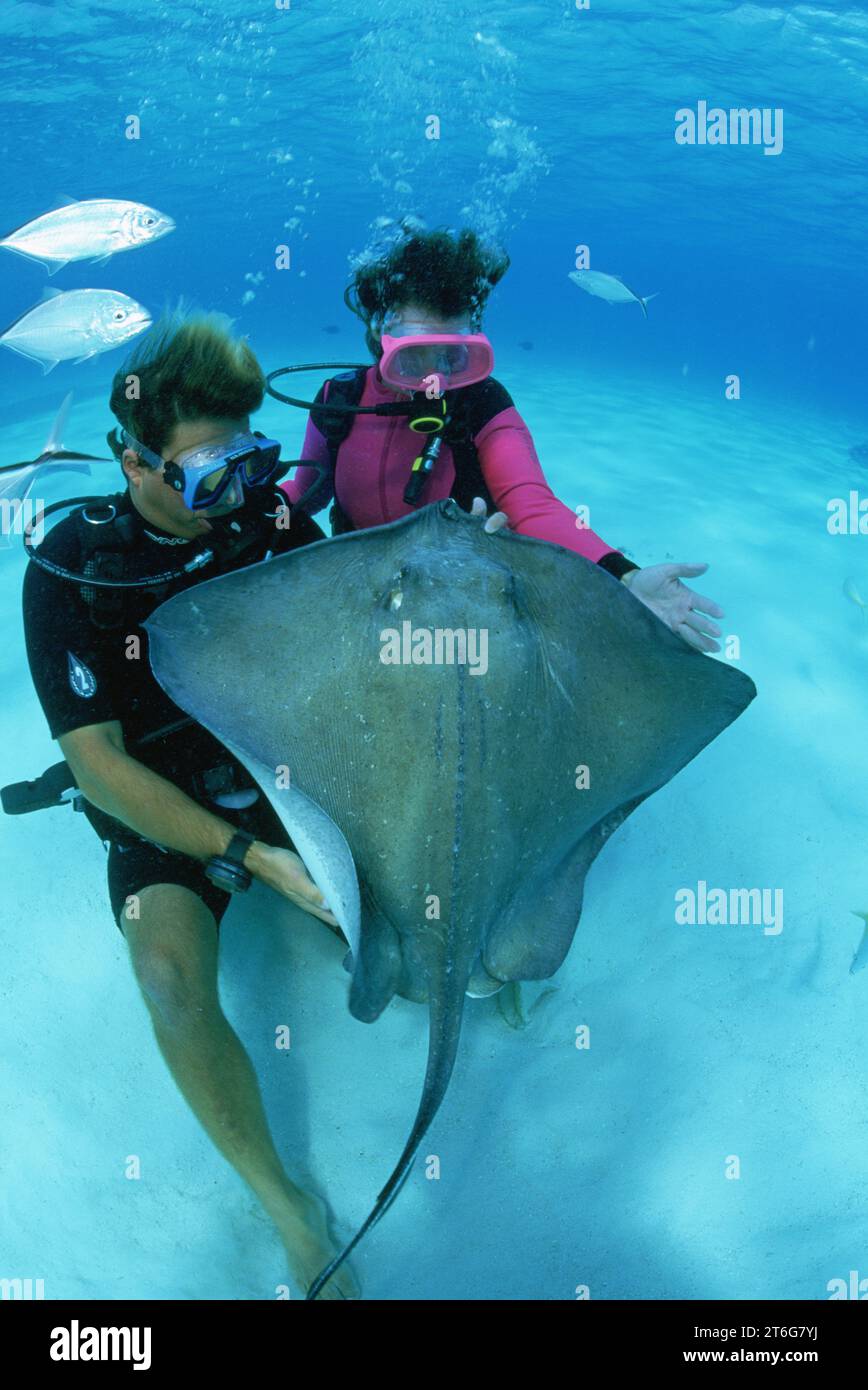 Pair of scuba divers at Stingray City, Grand Cayman Stock Photo - Alamy