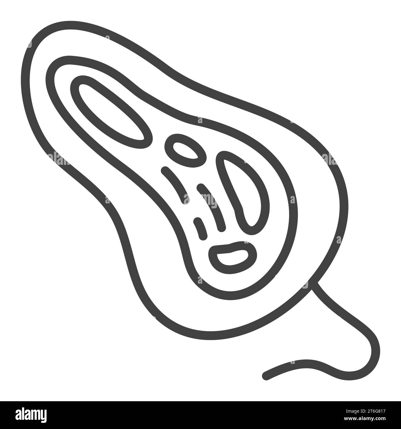 Bacteria vector Microbiology concept linear icon or design element ...