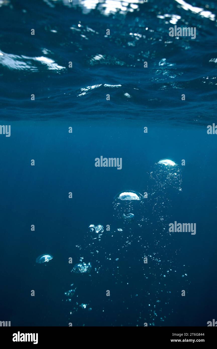 Exhaust bubbles from the exhalation of a scuba diver expand as they ...