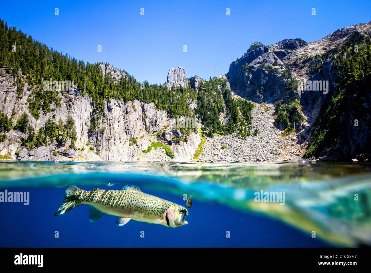 Alpine Lakes fishing Stock Photo - Alamy