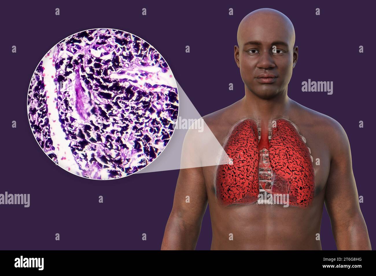 A 3D photorealistic illustration of the upper half part of an African ...