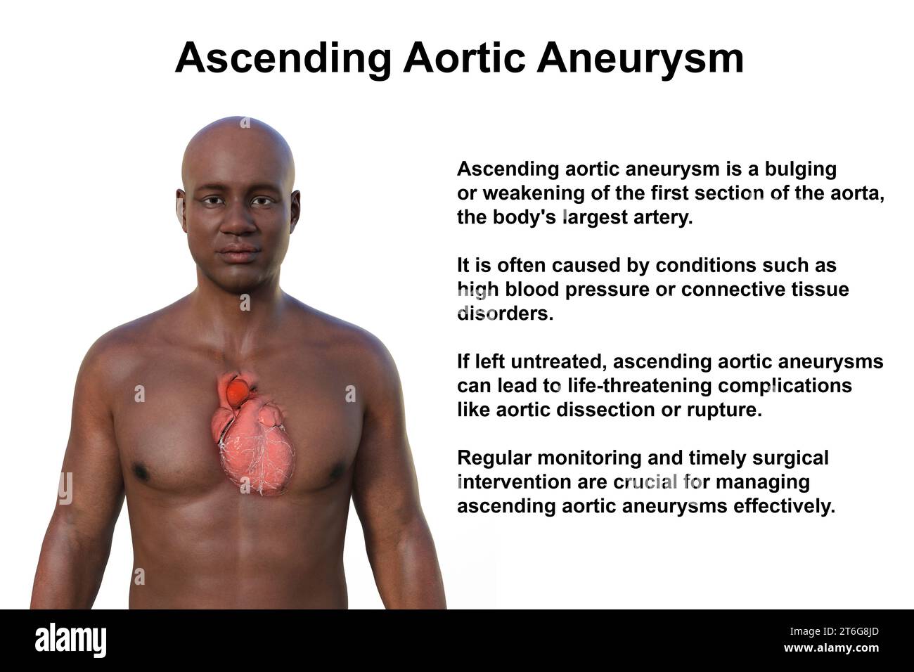 A 3D photorealistic illustration of the upper half part of an African ...