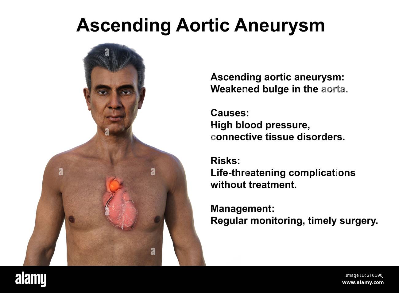 A 3D photorealistic illustration of the upper half part of a senior man ...